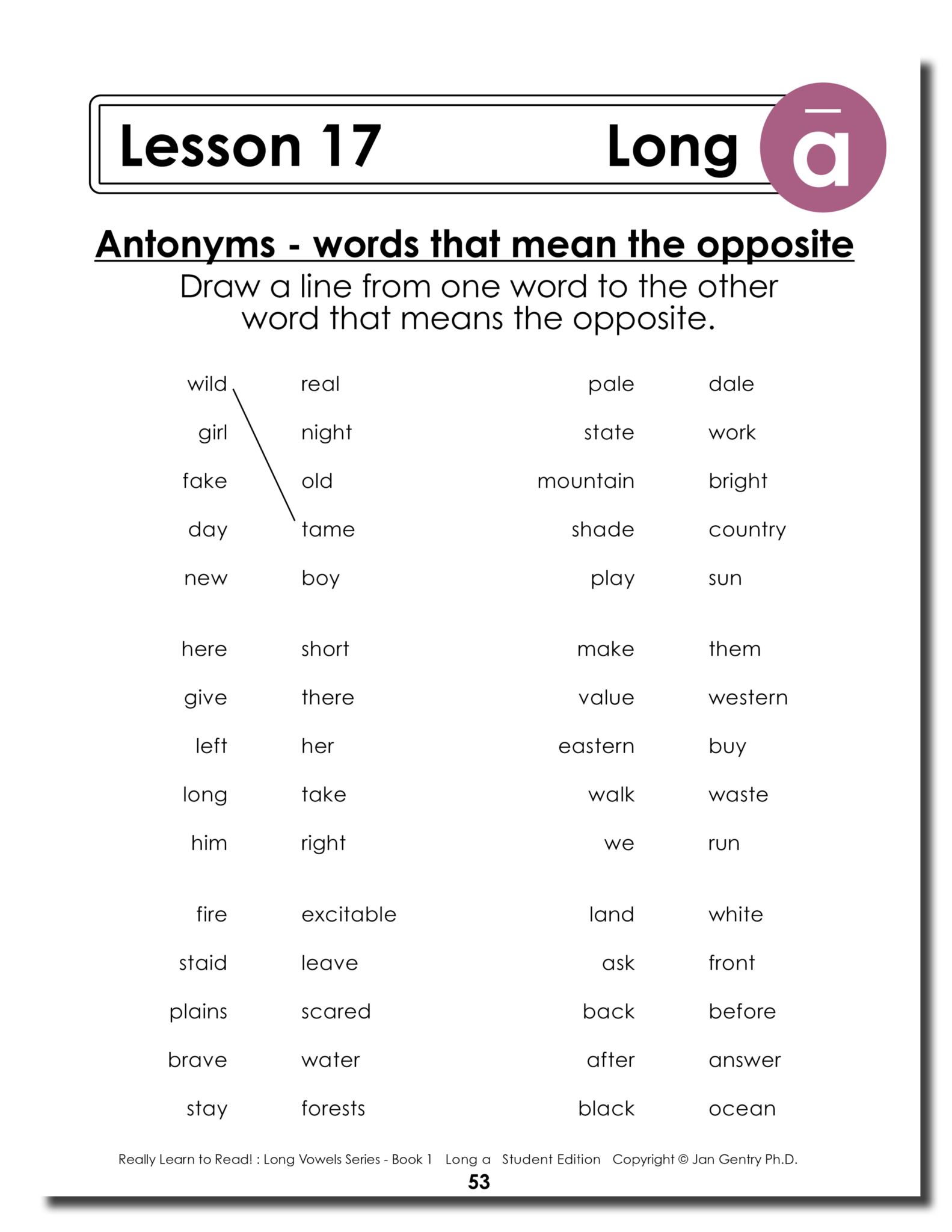 Long a - Book 1 of 5 - Really Learn to Read!